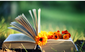 Home | Westerly Library & Wilcox Park